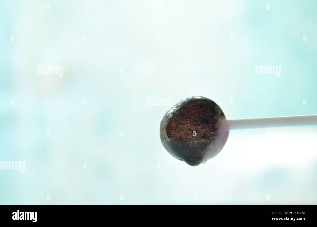 lollipop candy with white plastic stick burning to melt on white ...
