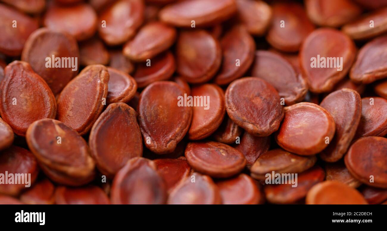 Red water melon dry seed for lunar new year Stock Photo - Alamy