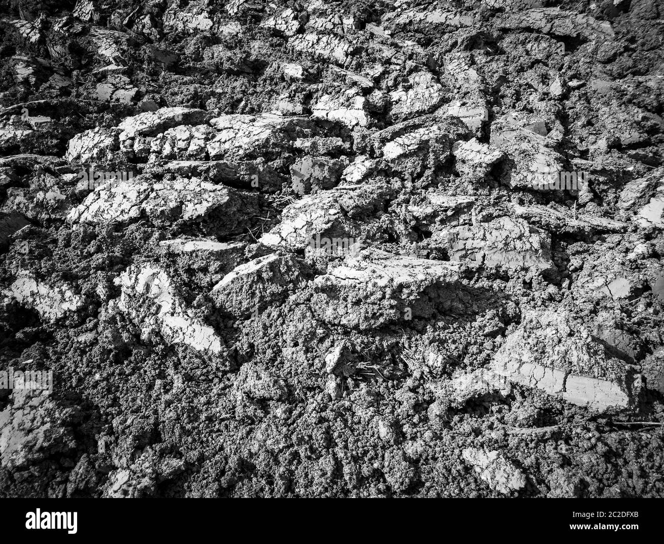 Clod Of Earth, plowed field with dry earth Stock Photo - Alamy