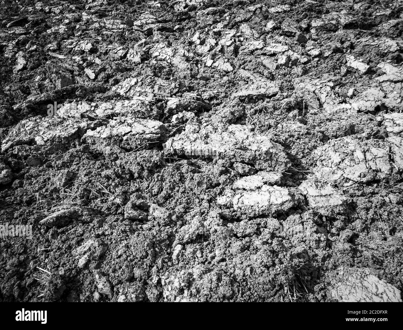 Clod Of Earth, plowed field with dry earth Stock Photo - Alamy