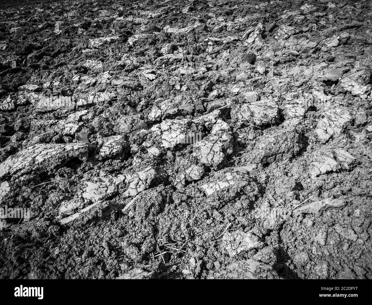 Clod Of Earth, plowed field with dry earth Stock Photo - Alamy