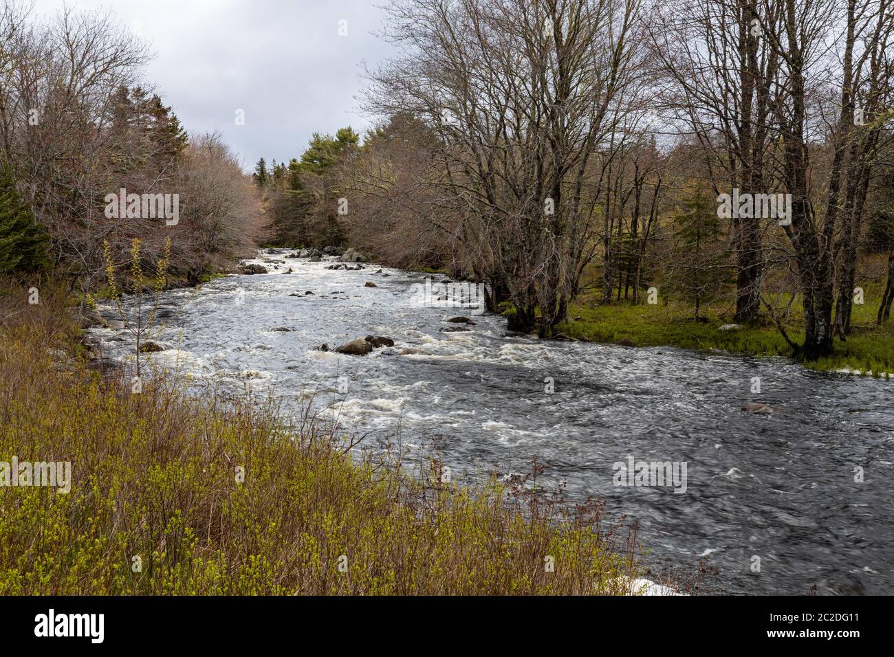 Natural river hi-res stock photography and images - Alamy