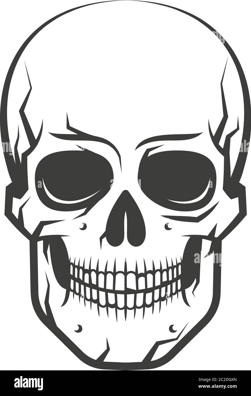realistic human skull Stock Vector Image & Art - Alamy