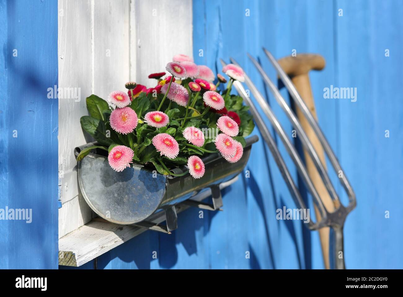 Metal daisy flower hi-res stock photography and images - Alamy