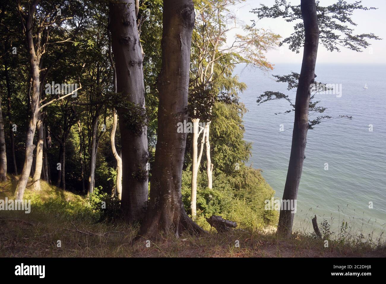 High coast baltic sea hi-res stock photography and images - Alamy