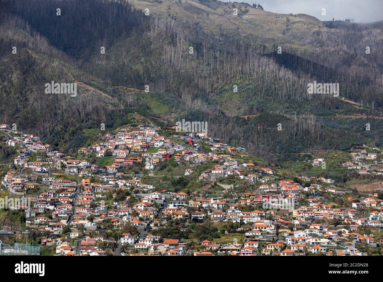 Typical terrace architecture on the steep slopes of Funchal on the ...
