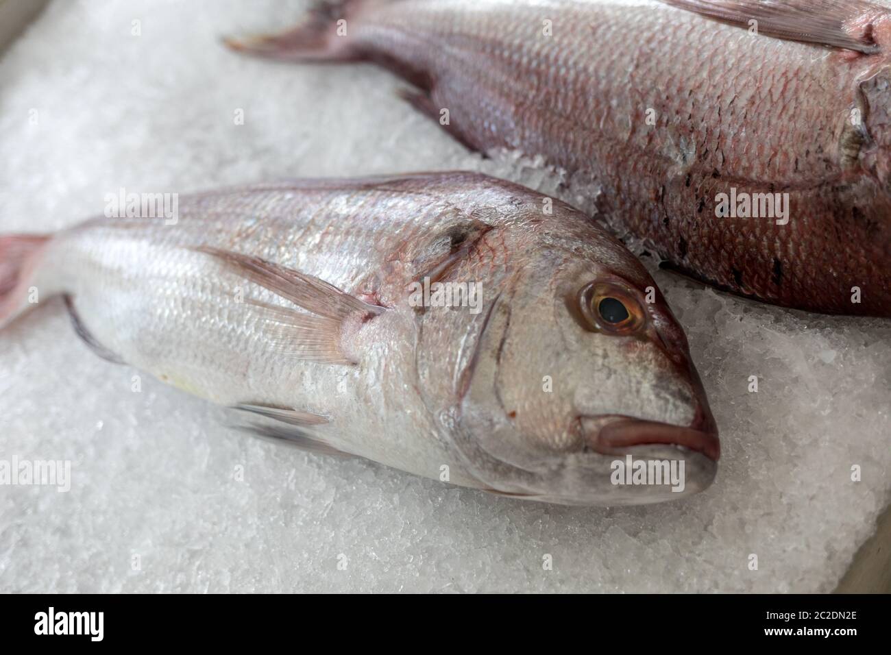 Fresh fish for sale at a fish market Stock Photo - Alamy
