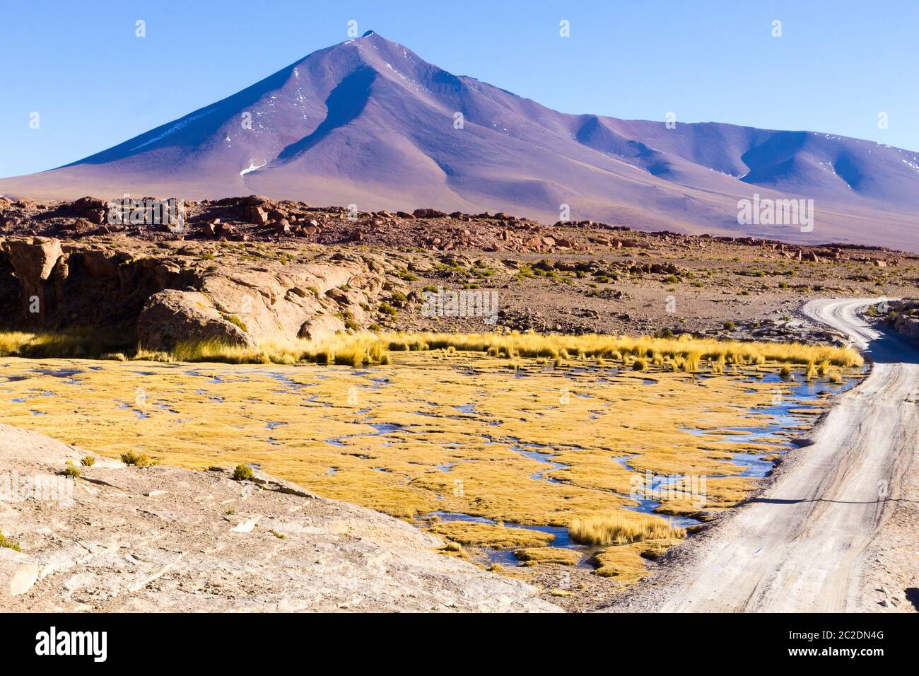 Beautiful bolivian landscape,Bolivia. Lakes and associated wetlands ...
