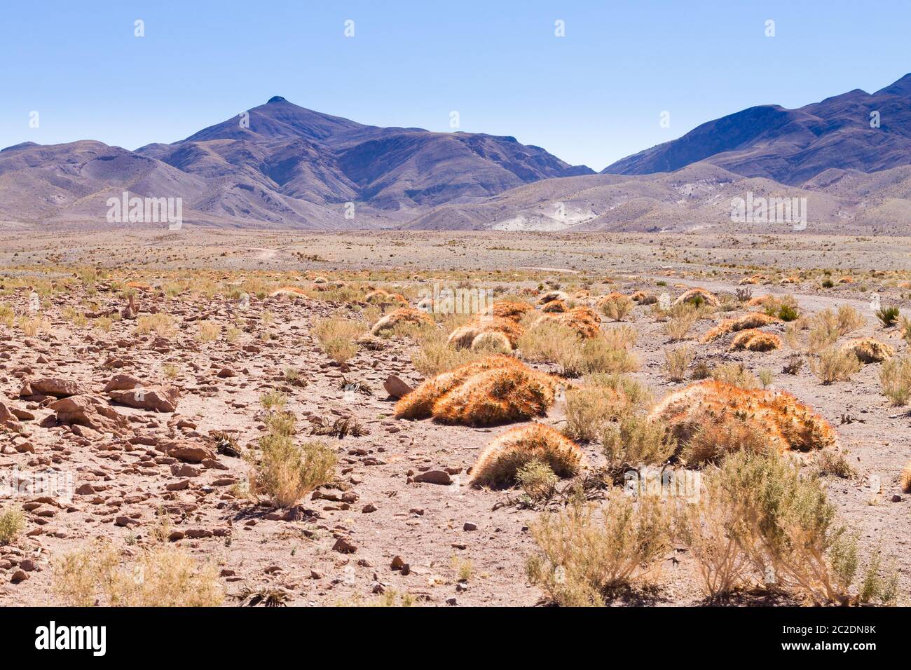 Chilean mountains landscape,Chile.Andean plateau view Stock Photo - Alamy
