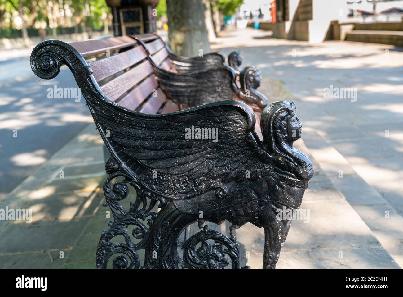 Slats the lion hi-res stock photography and images - Alamy