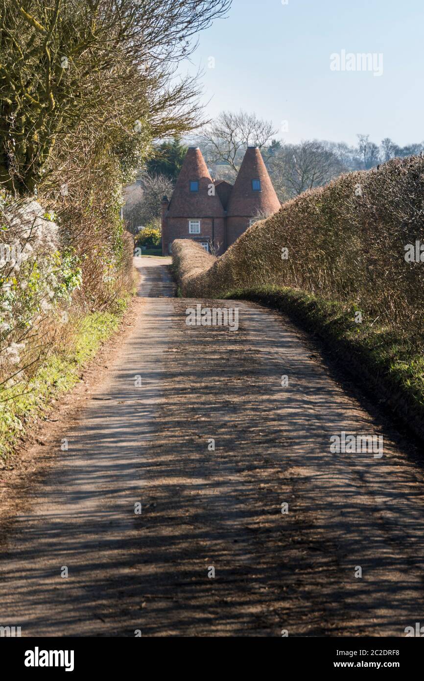 A country lane leading to an oasthouse in the Kent countryside in ...
