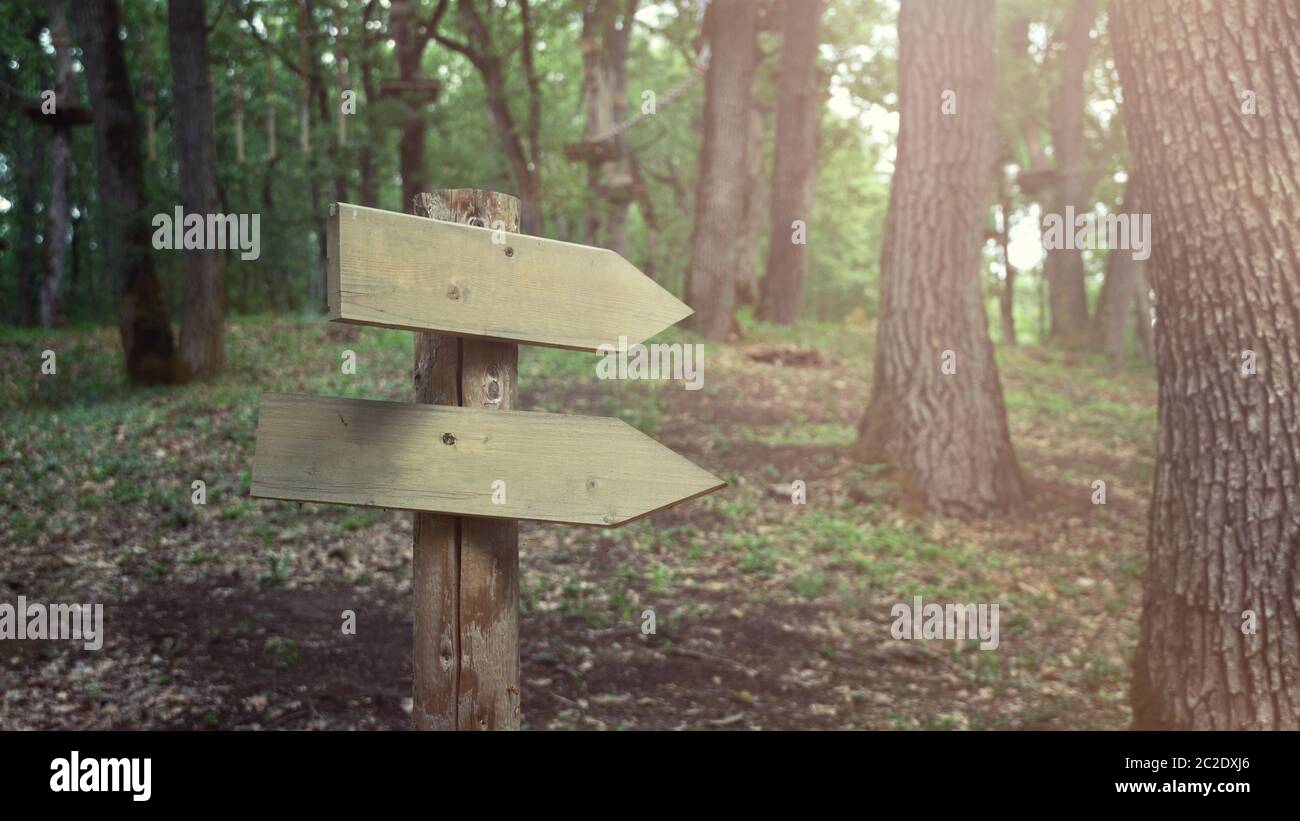 Two blank wooden directional arrow signs in forest template copy space ...