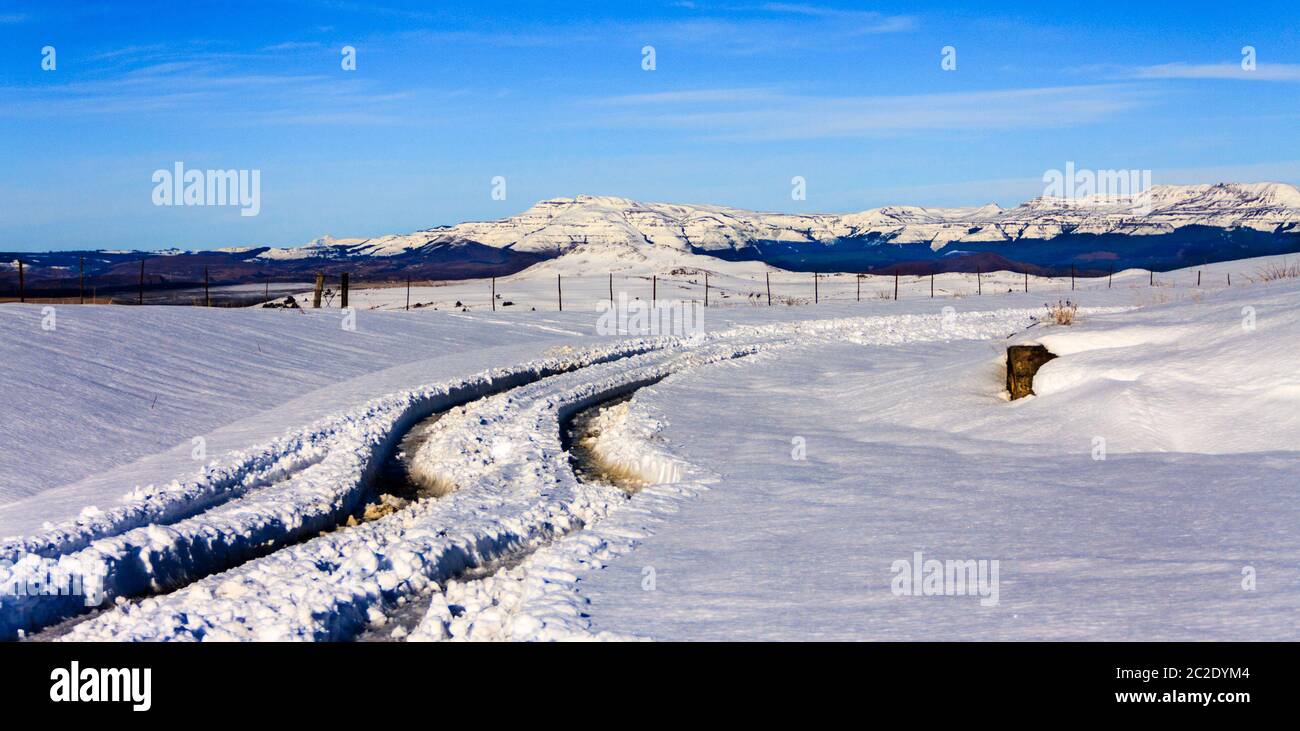 A rare South African snow landscape scene in the Kwazulu-Natal Midlands ...