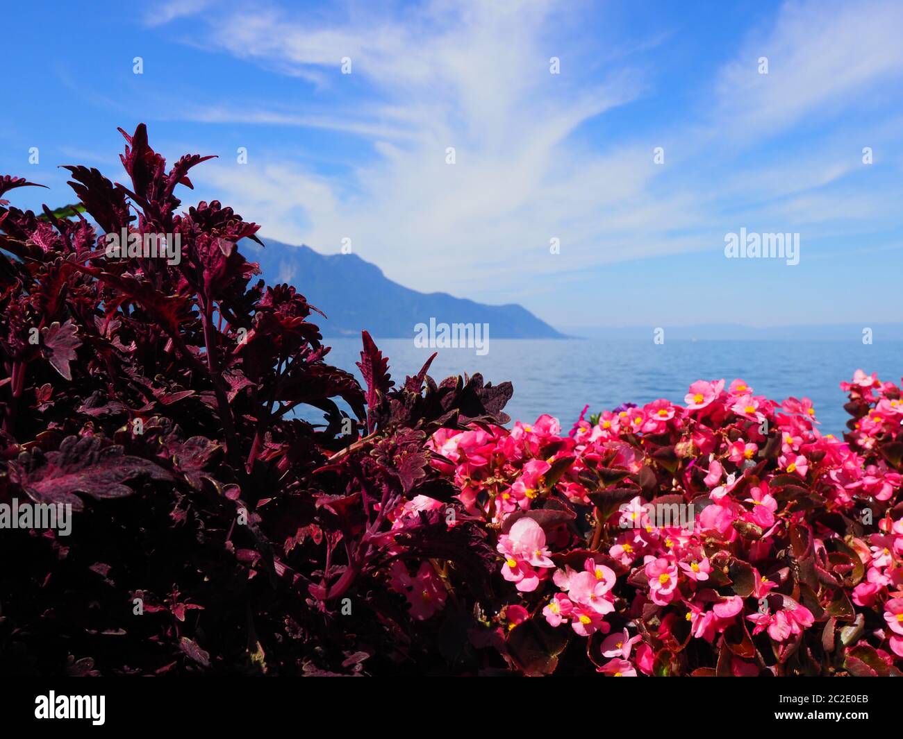 Montreux lakeside garden hi-res stock photography and images - Alamy