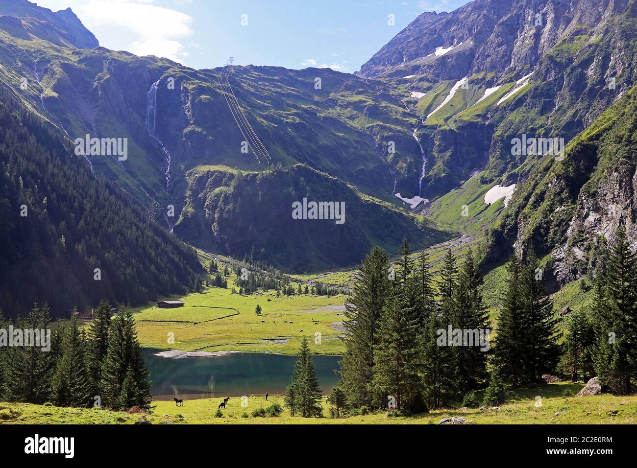 Pinzgau hi-res stock photography and images - Alamy