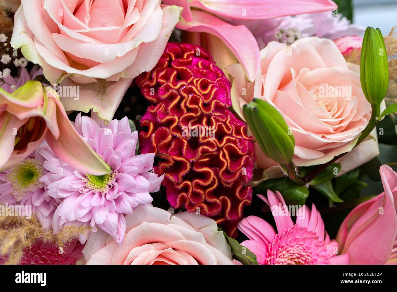 Dark purple fragments hi-res stock photography and images - Alamy