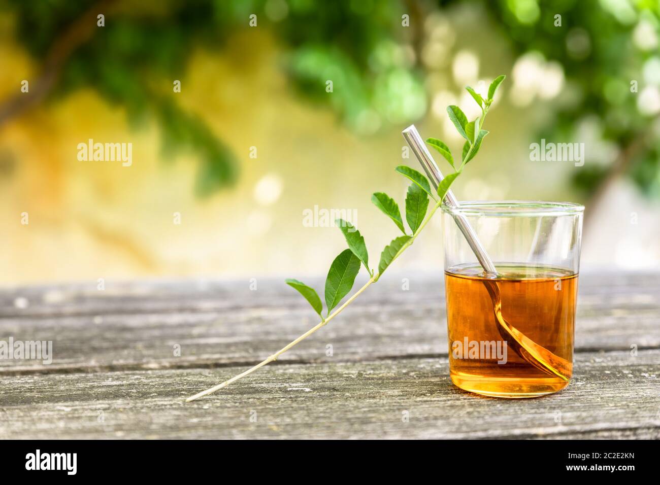 Eisenkrautgewaechse hi-res stock photography and images - Alamy
