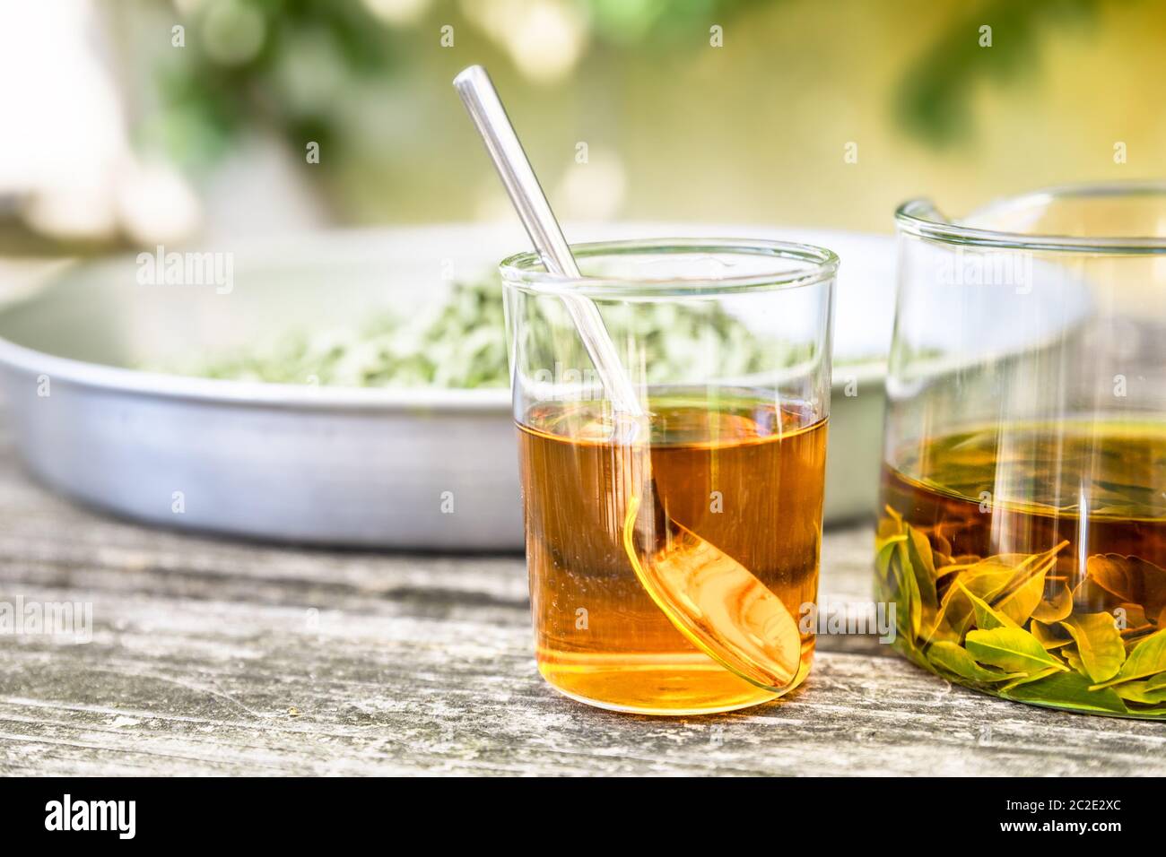 M citriodora hi-res stock photography and images - Alamy