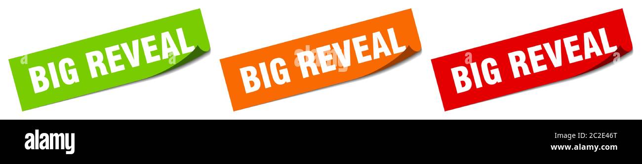 big reveal sticker. big reveal square isolated sign. big reveal label ...