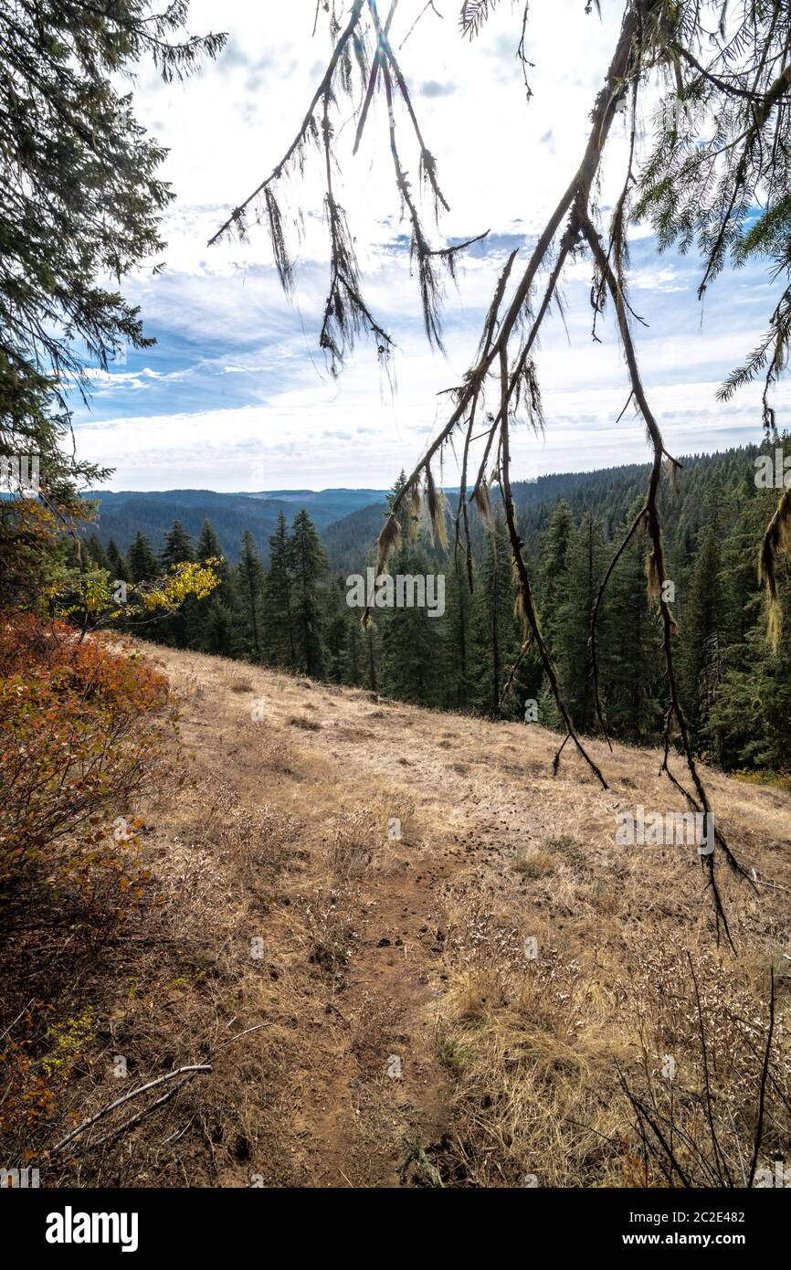 Idaho forest hi-res stock photography and images - Alamy