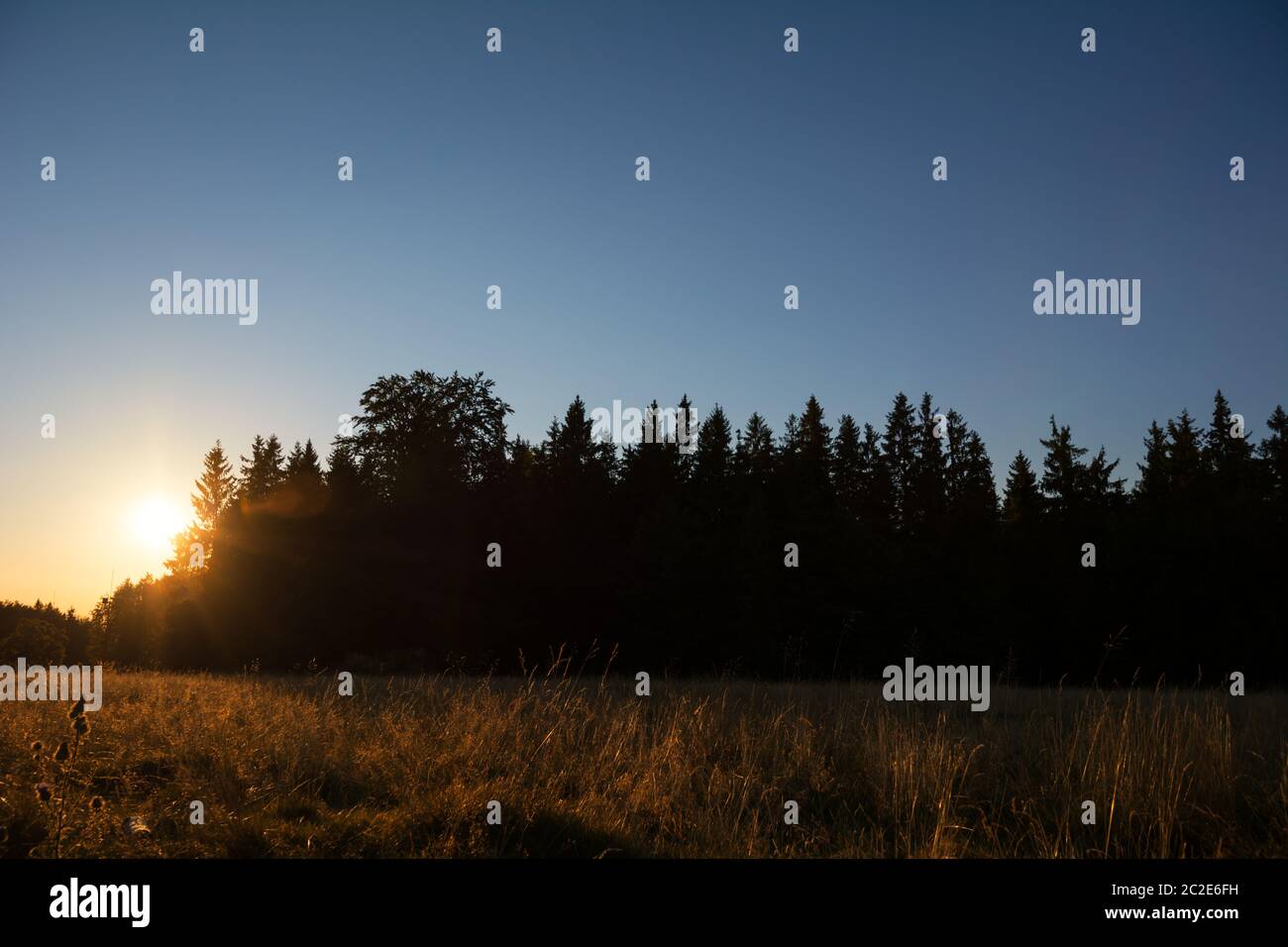 Beautiful sunset over hills and forest. Magic light during golden hour ...