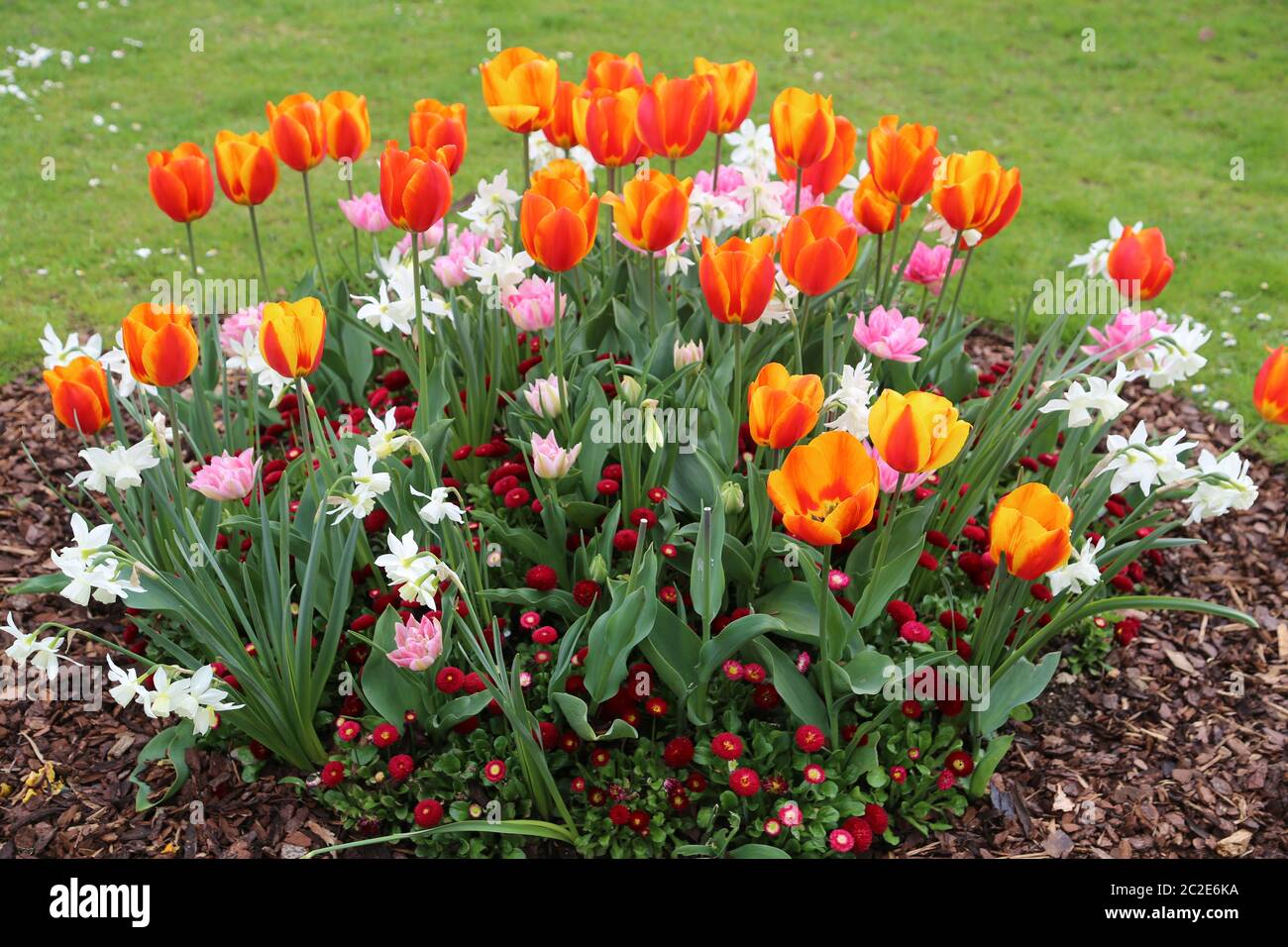 France tulips spring flowers hi-res stock photography and images - Alamy