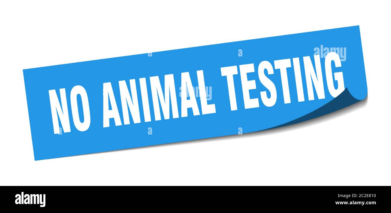 no animal testing sticker. no animal testing square isolated sign. no ...