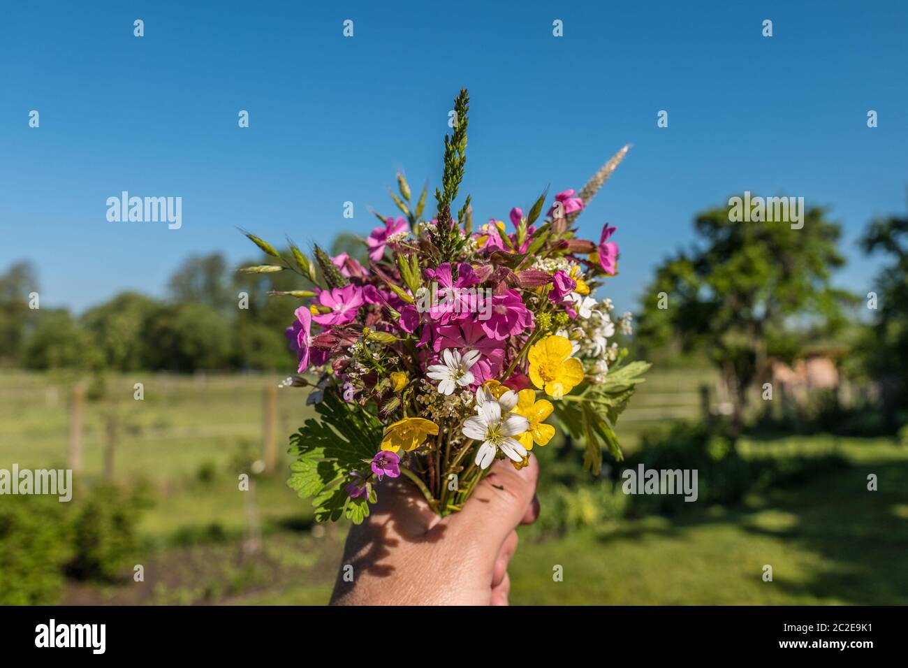 Stretched spring hi-res stock photography and images - Alamy