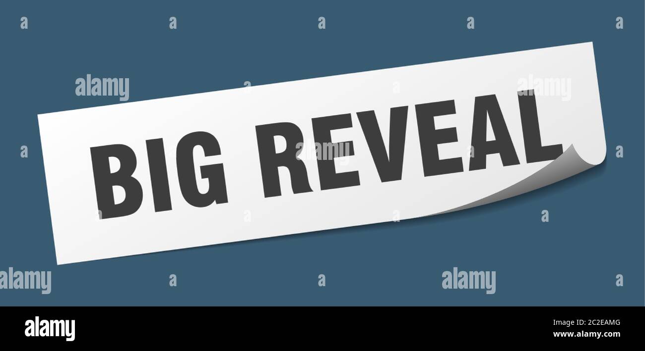 big reveal sticker. big reveal square isolated sign. big reveal label ...
