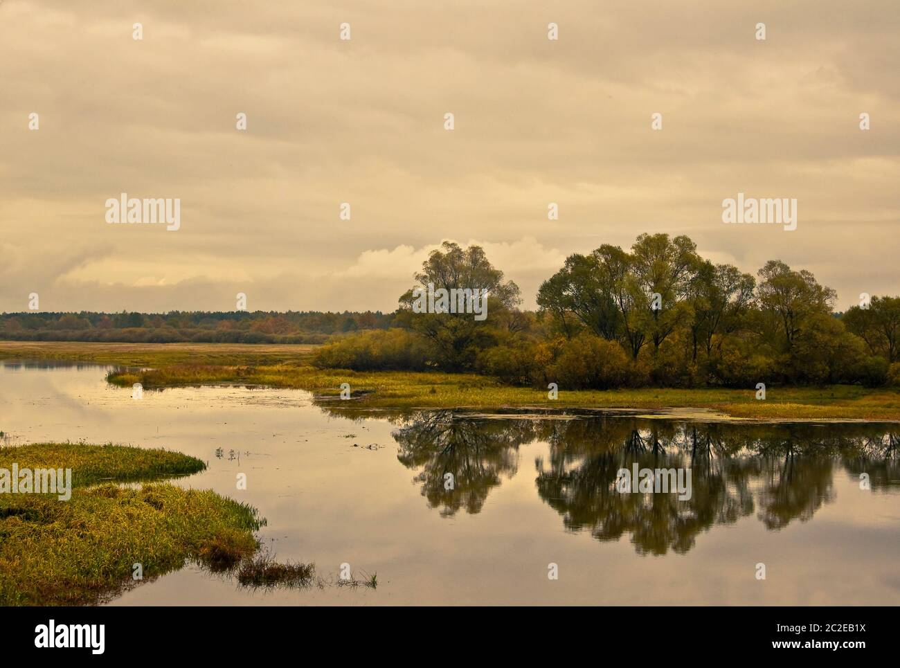 Rain and overcast sky over misty fall woodland. Reflection of autumn ...