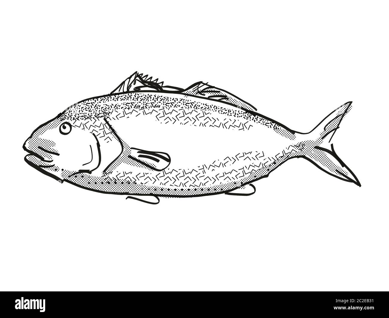 Retro cartoon style drawing of a blue moki , a native New Zealand ...