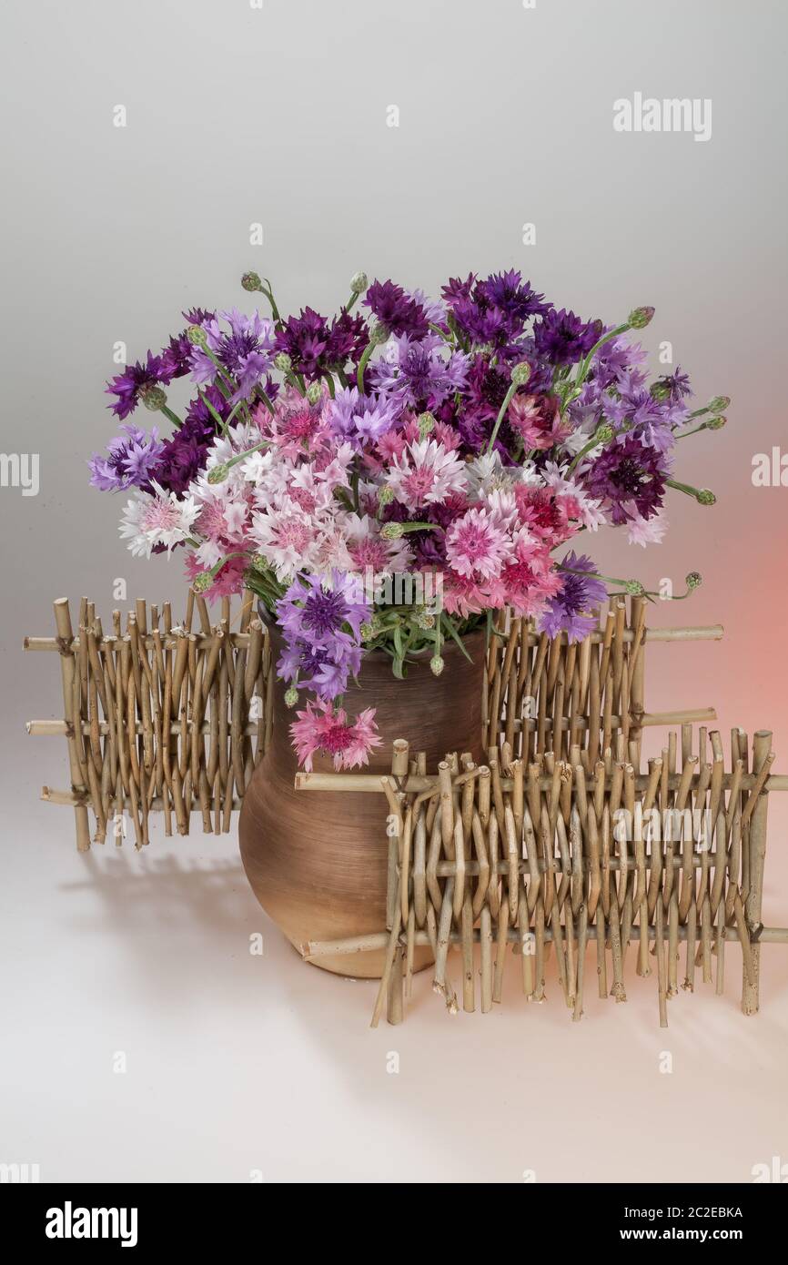 Russian flowers hi-res stock photography and images - Alamy