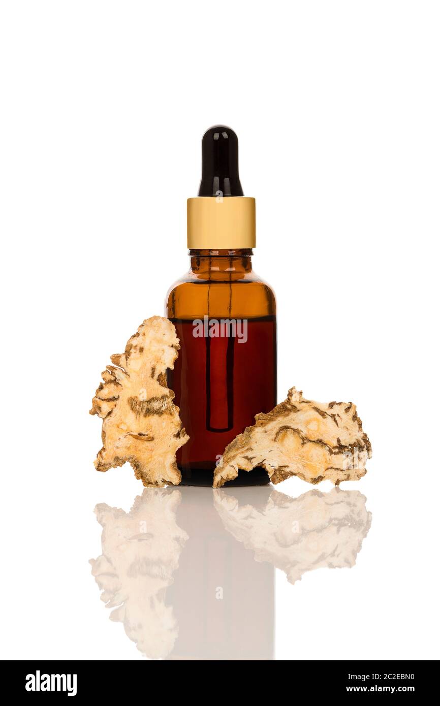 Angelica root essential oil isolated on white background. Medicinal ...