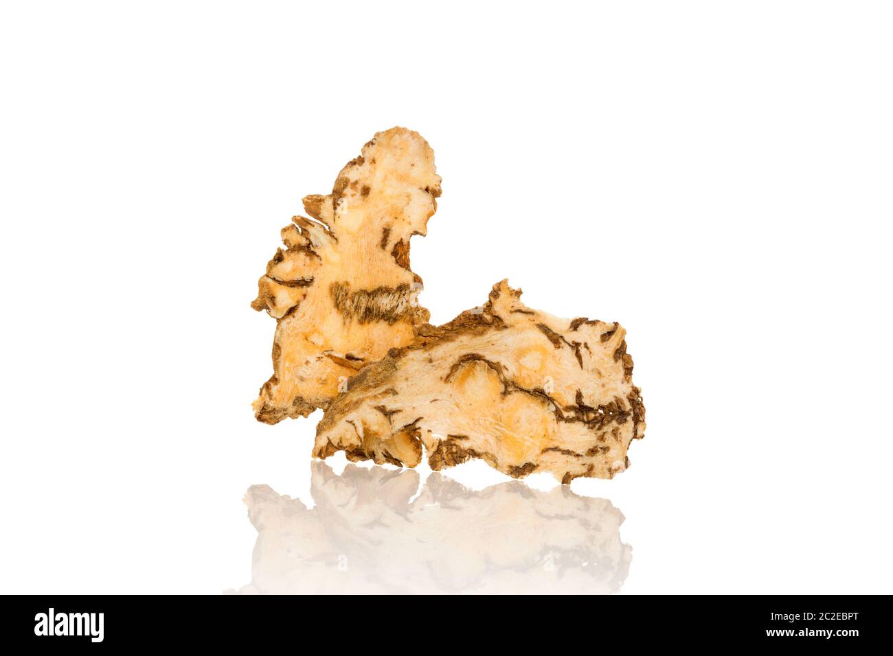 Angelica root slices isolated on white background. Medical plant a ...
