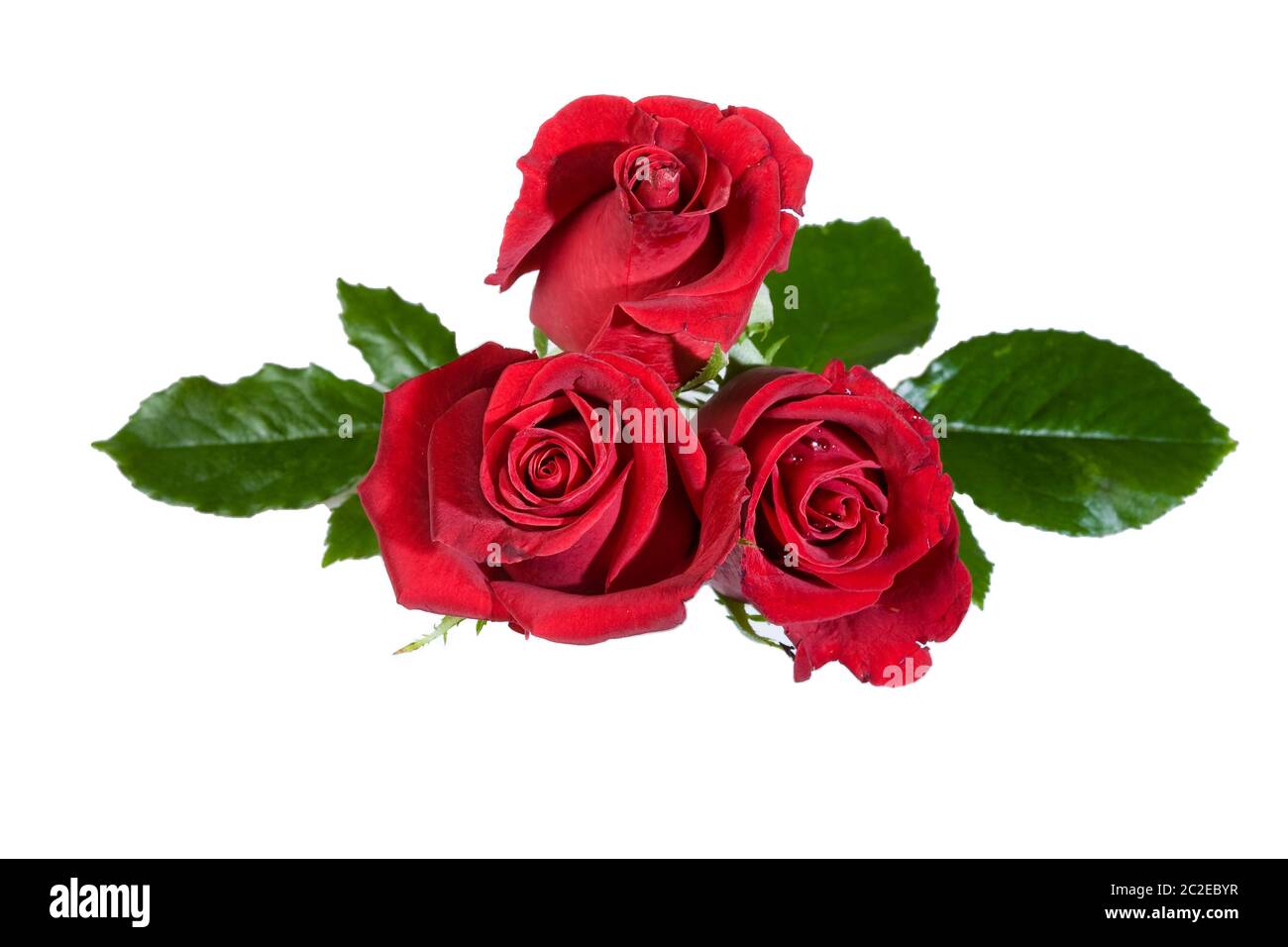 Beautiful red flowers silk Cut Out Stock Images & Pictures - Alamy