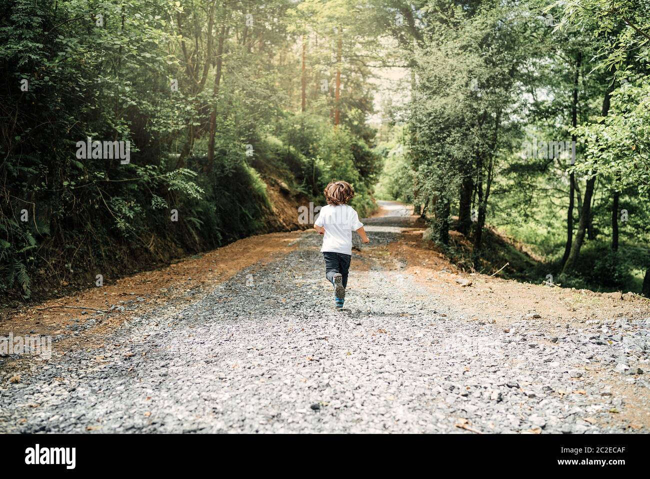 boy running backwards across the forest Stock Photo - Alamy
