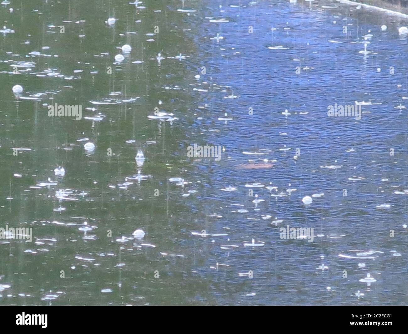 Abstract of water droplets during heavy rainfall on a pond, where 50% ...