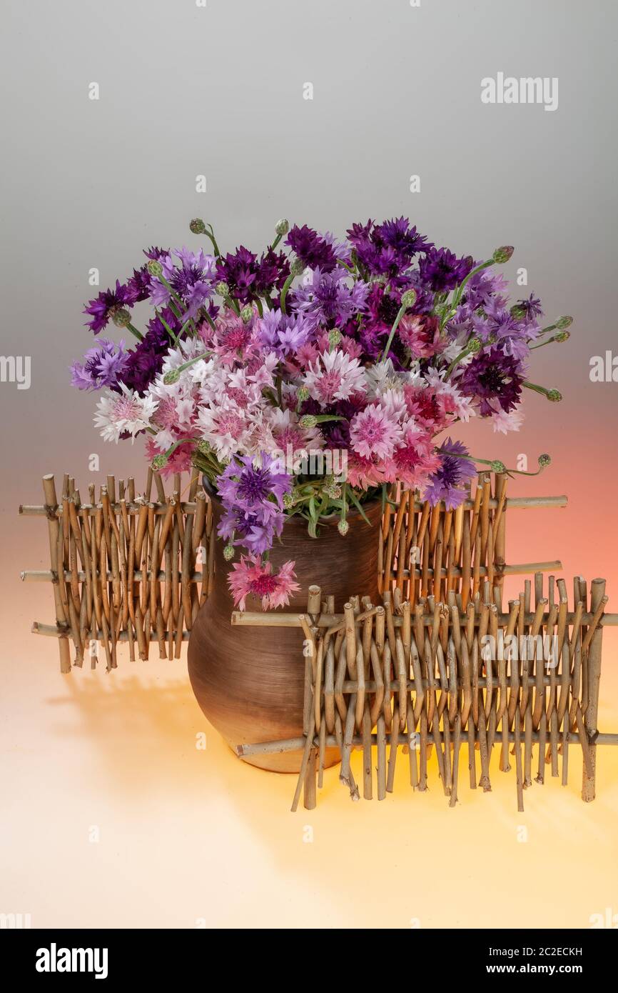 Still Life With Flowers Stock Photo - Alamy