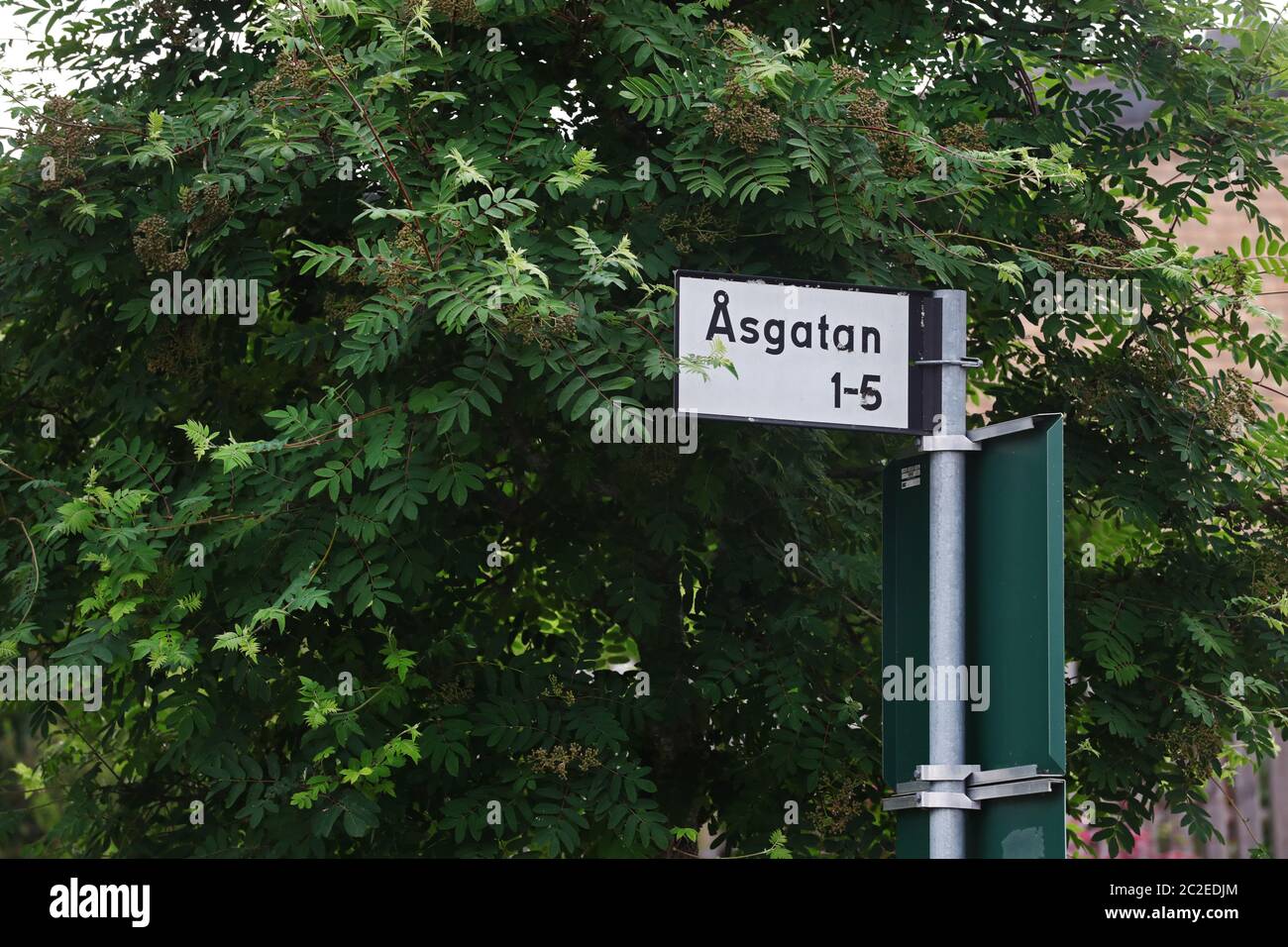 Linkoping, Sweden 20200609 Åsgatan in Linköping. The place where the ...