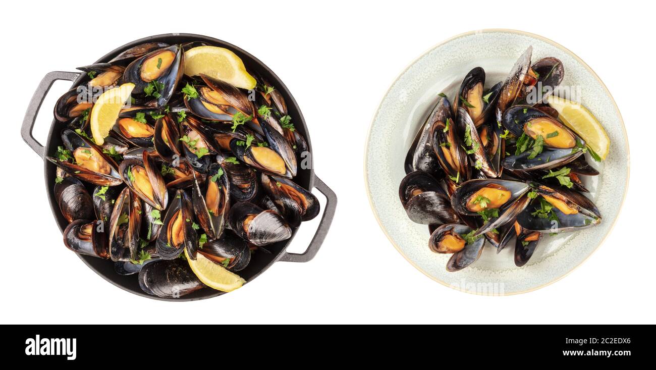Pan fresh cooked mussels Cut Out Stock Images & Pictures - Alamy