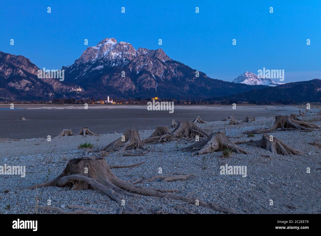 Tree stump in dry lake Forggensee after sunset with a view to ...