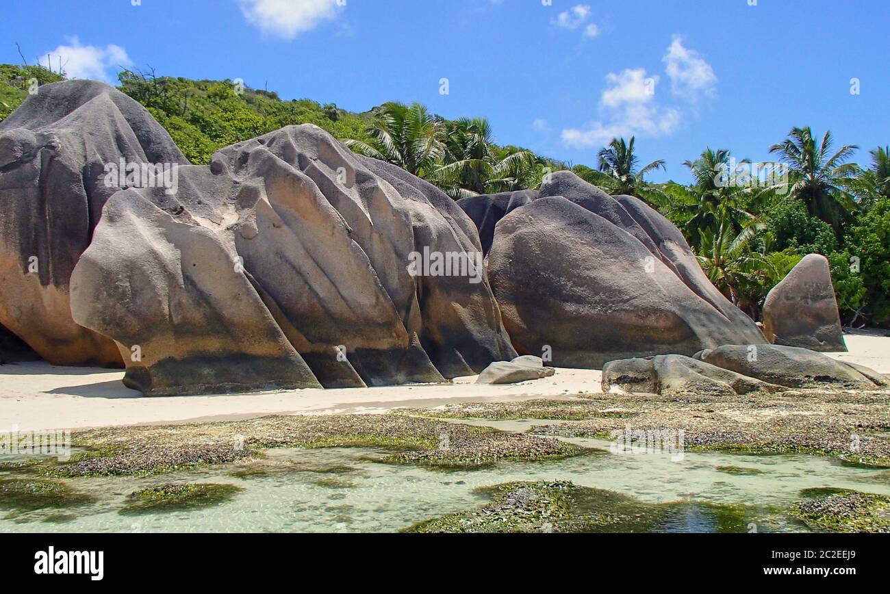 Typical rock formation with traces of erosion on the beach in the ...