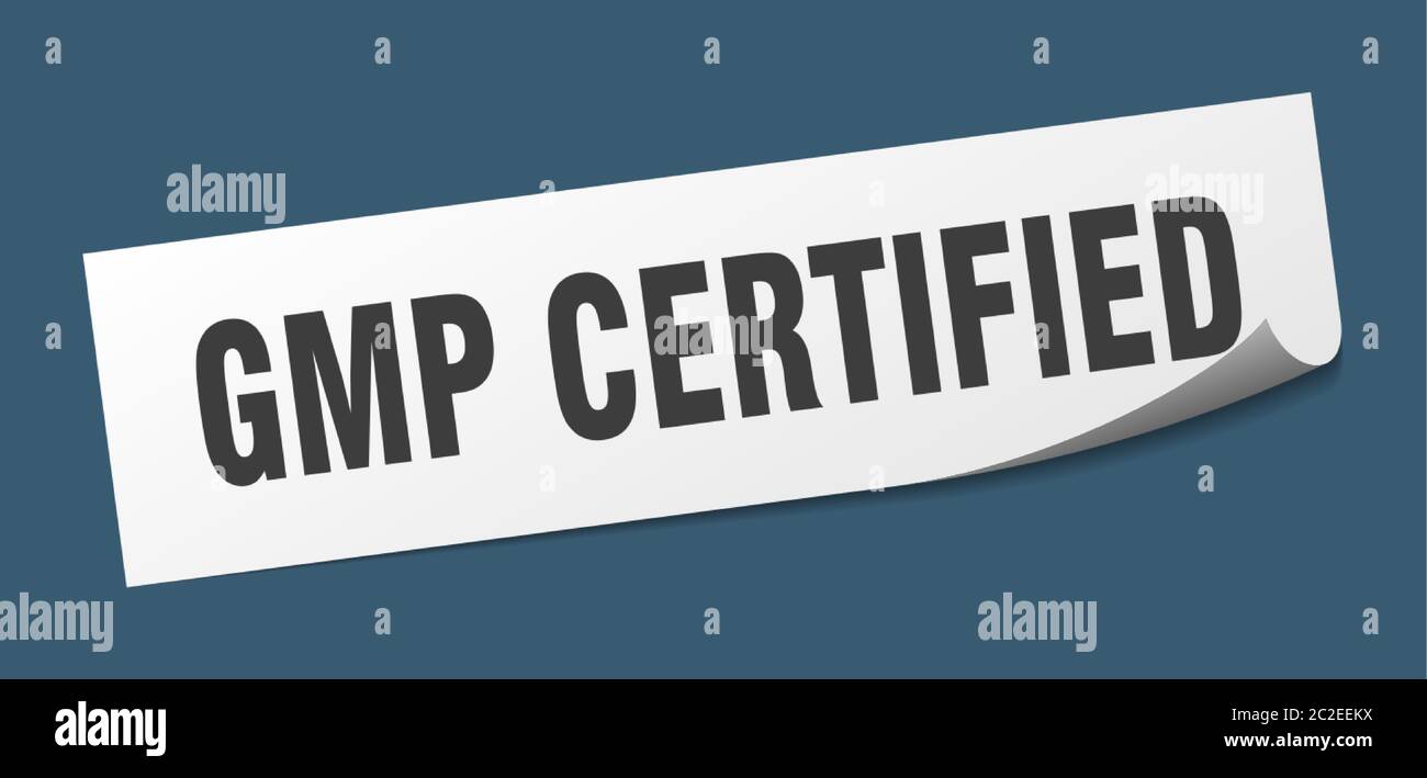 gmp certified sticker. gmp certified square isolated sign. gmp ...