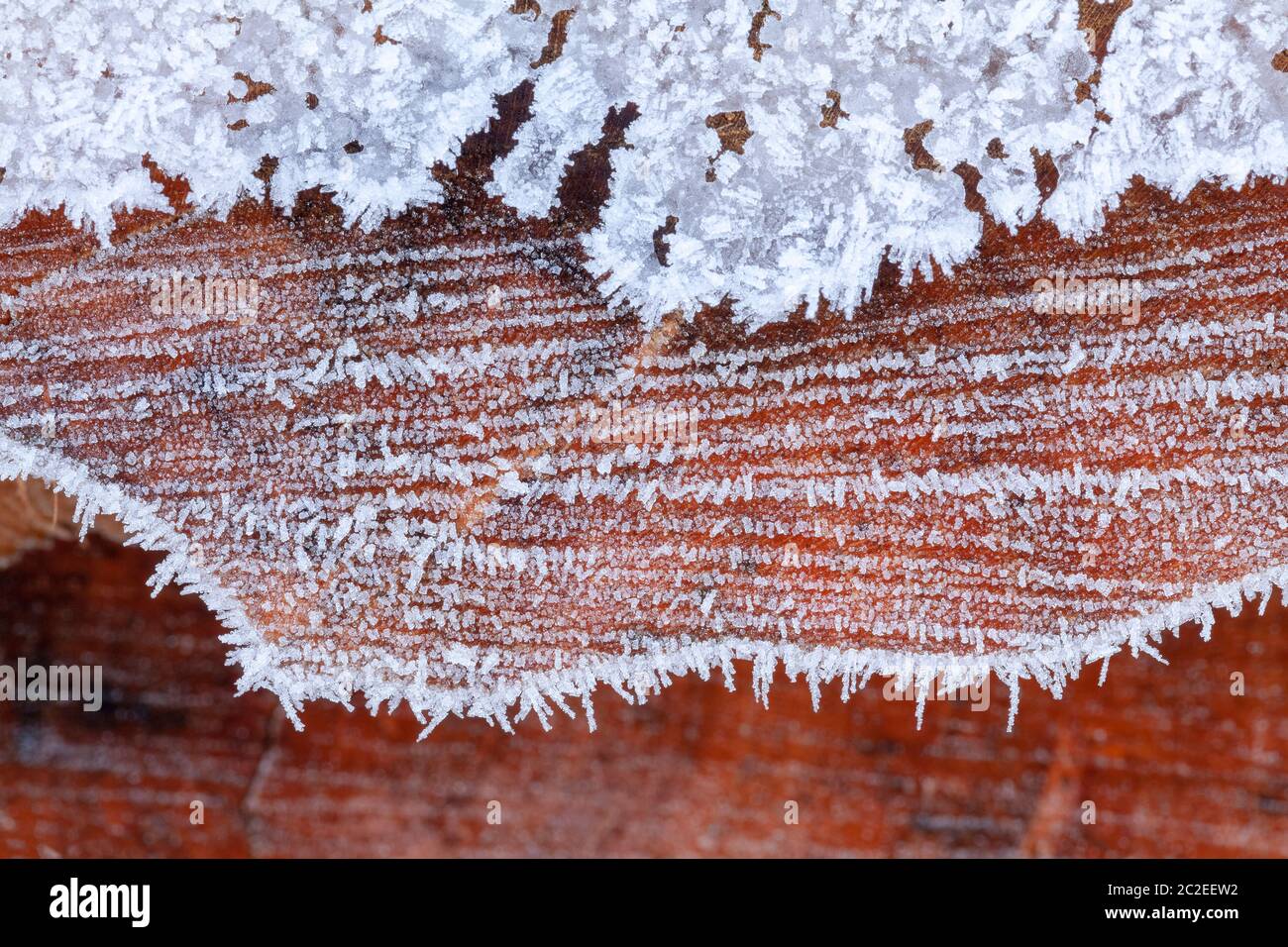 Frosty log and bark close up with frozen water crystals Stock Photo - Alamy