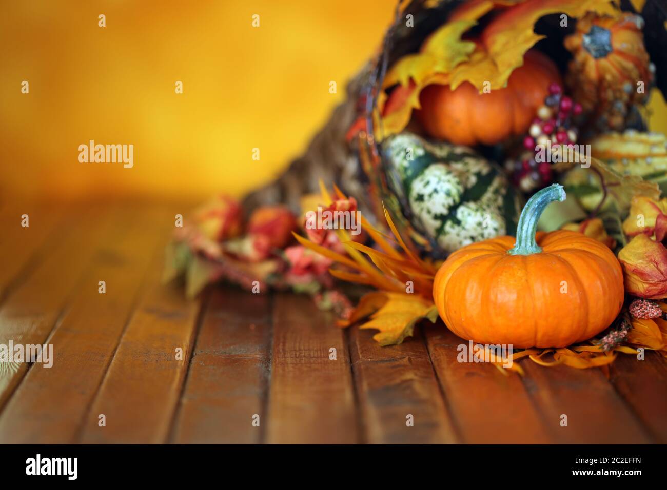 Pumpkins, gourds, and leaves in an Autumn cornucopia background Stock ...
