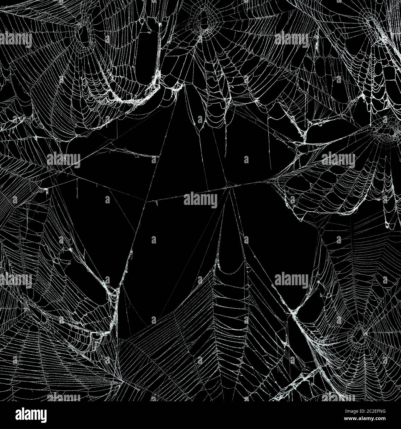 Real spooky spider webs hanging together to make a frame. Halloween ...