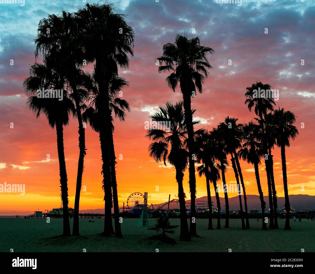 Beautiful sunset behind palm hi-res stock photography and images - Alamy