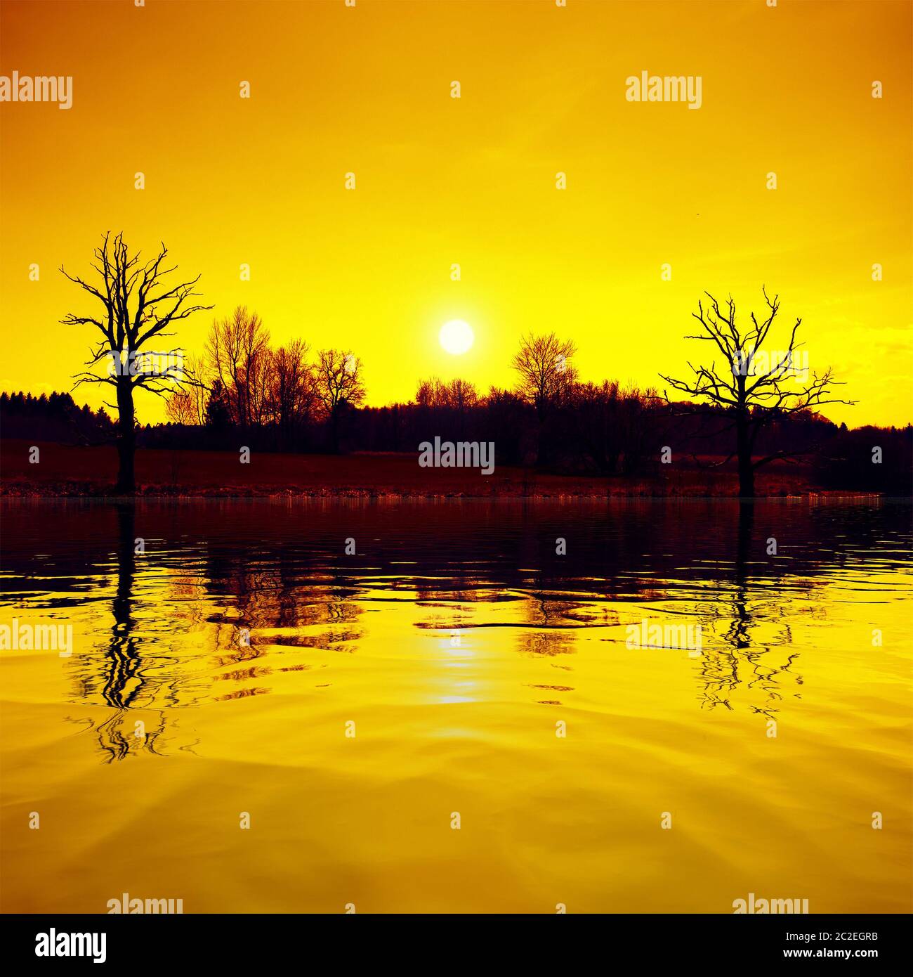 sunset scenery lake and trees Stock Photo - Alamy