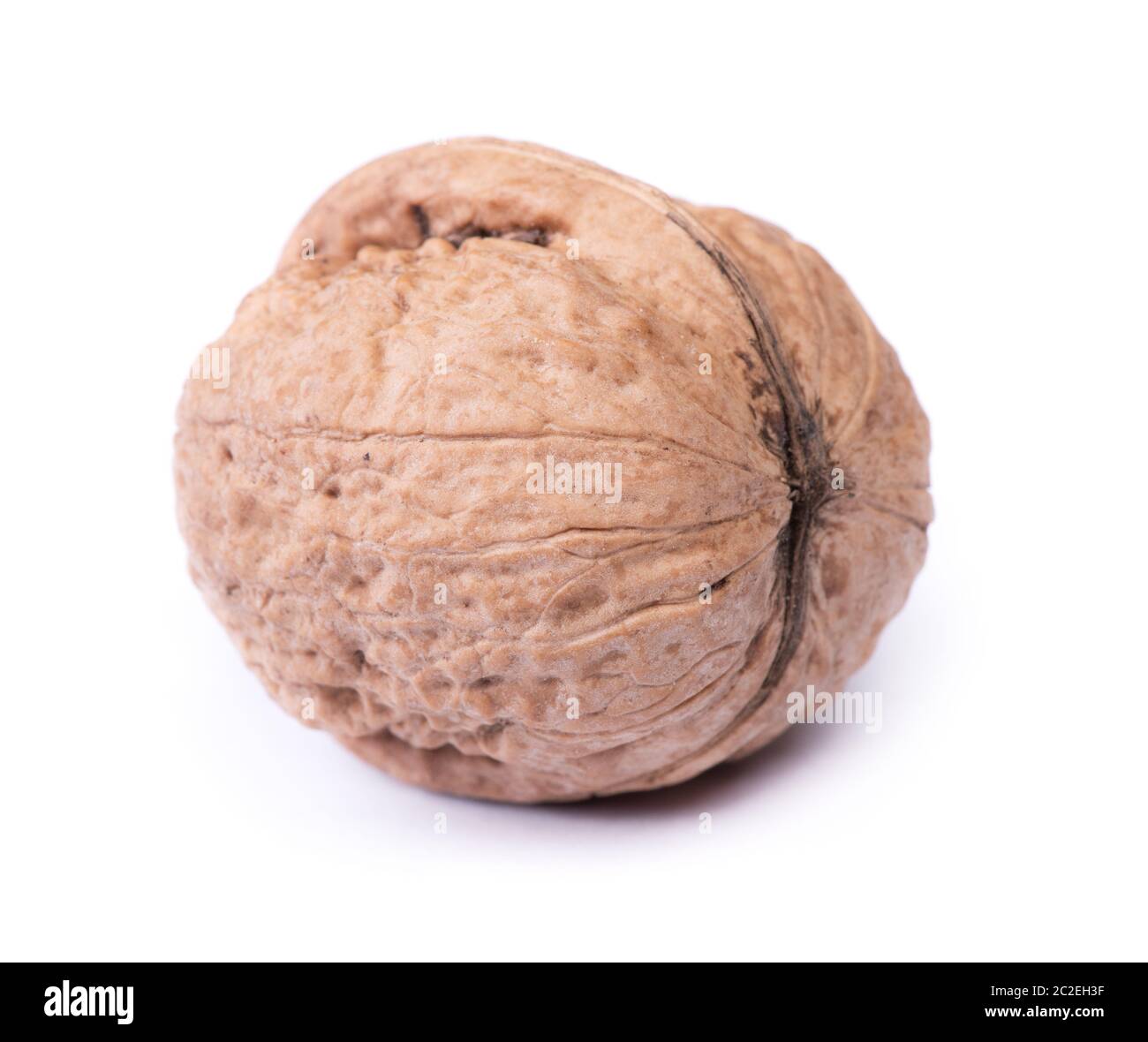 One big walnut isolated on white background Stock Photo - Alamy