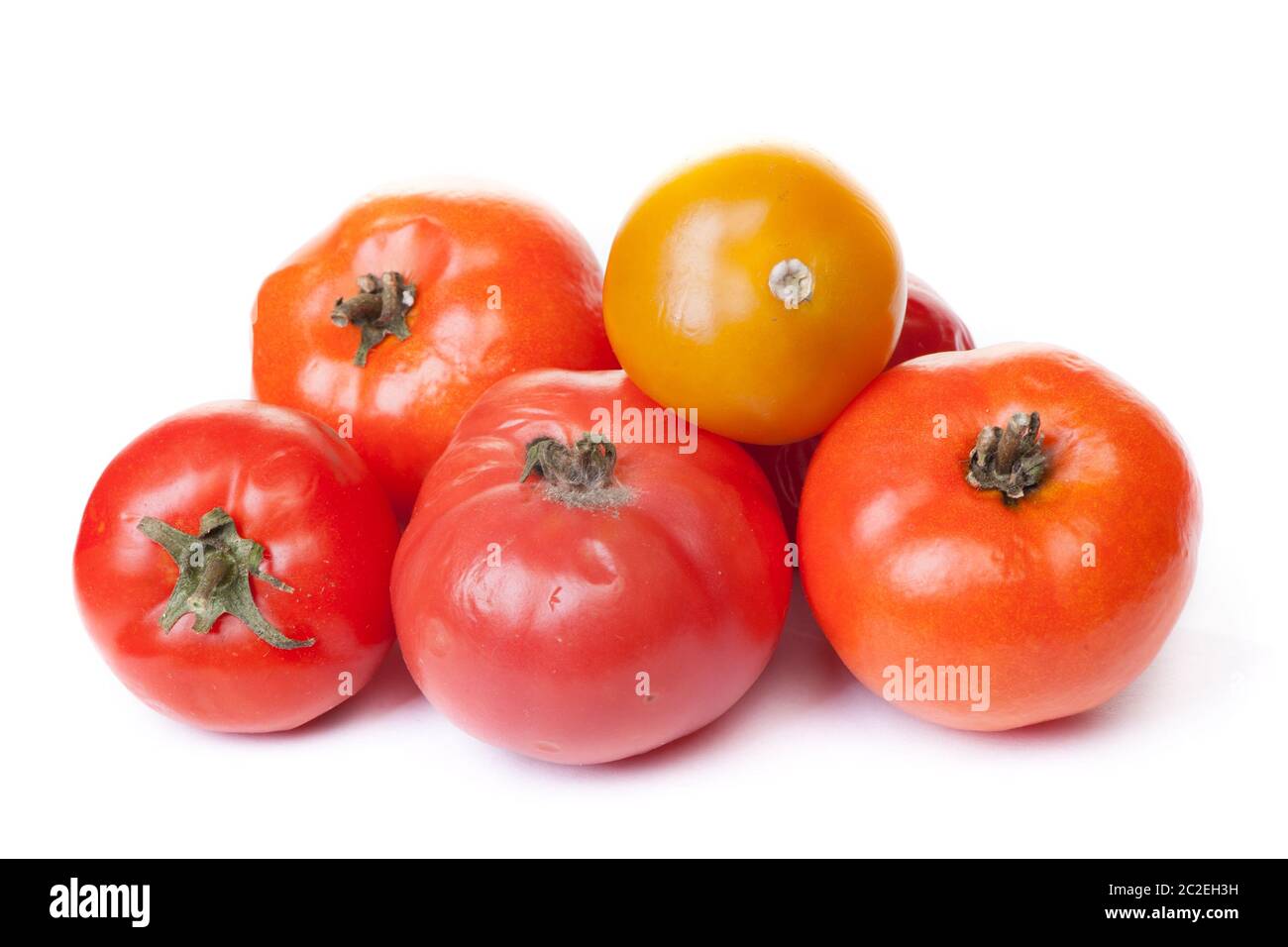 Spoiled tomato on white background, fungus with mold on vegetable ...